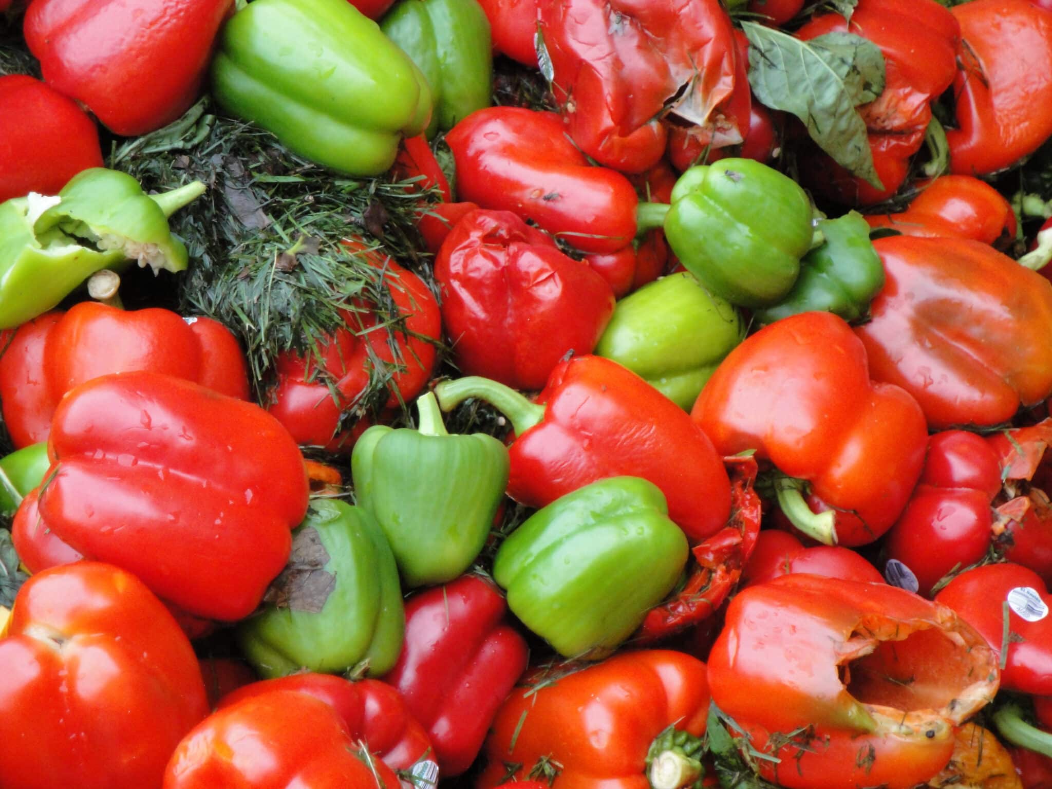 VDE 4110: Ihr Leitfaden für Netzanschluss & Mittelspannung - eetechnik.de